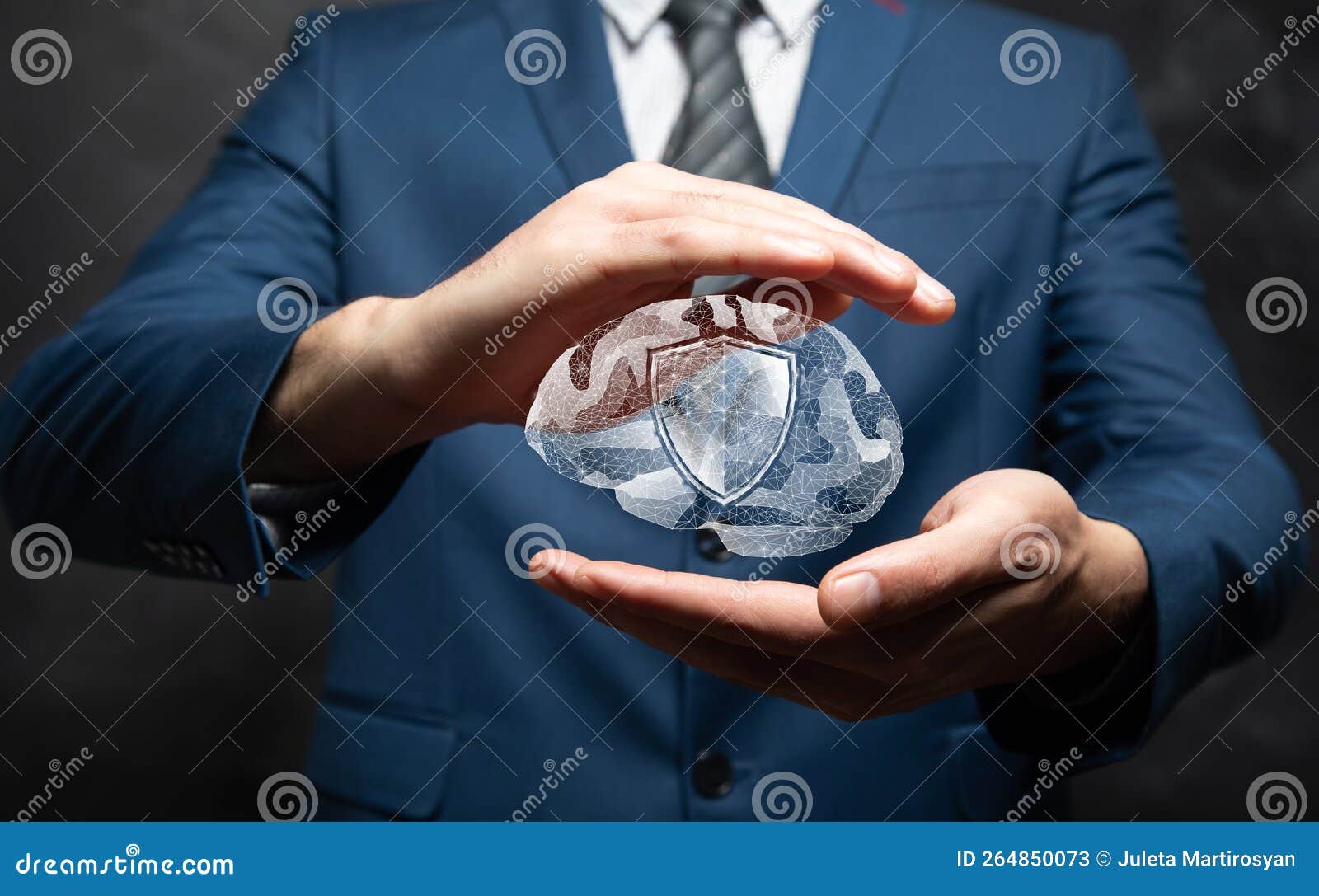 Brain from the Net with a Shield. Data Protection Concept Stock ...