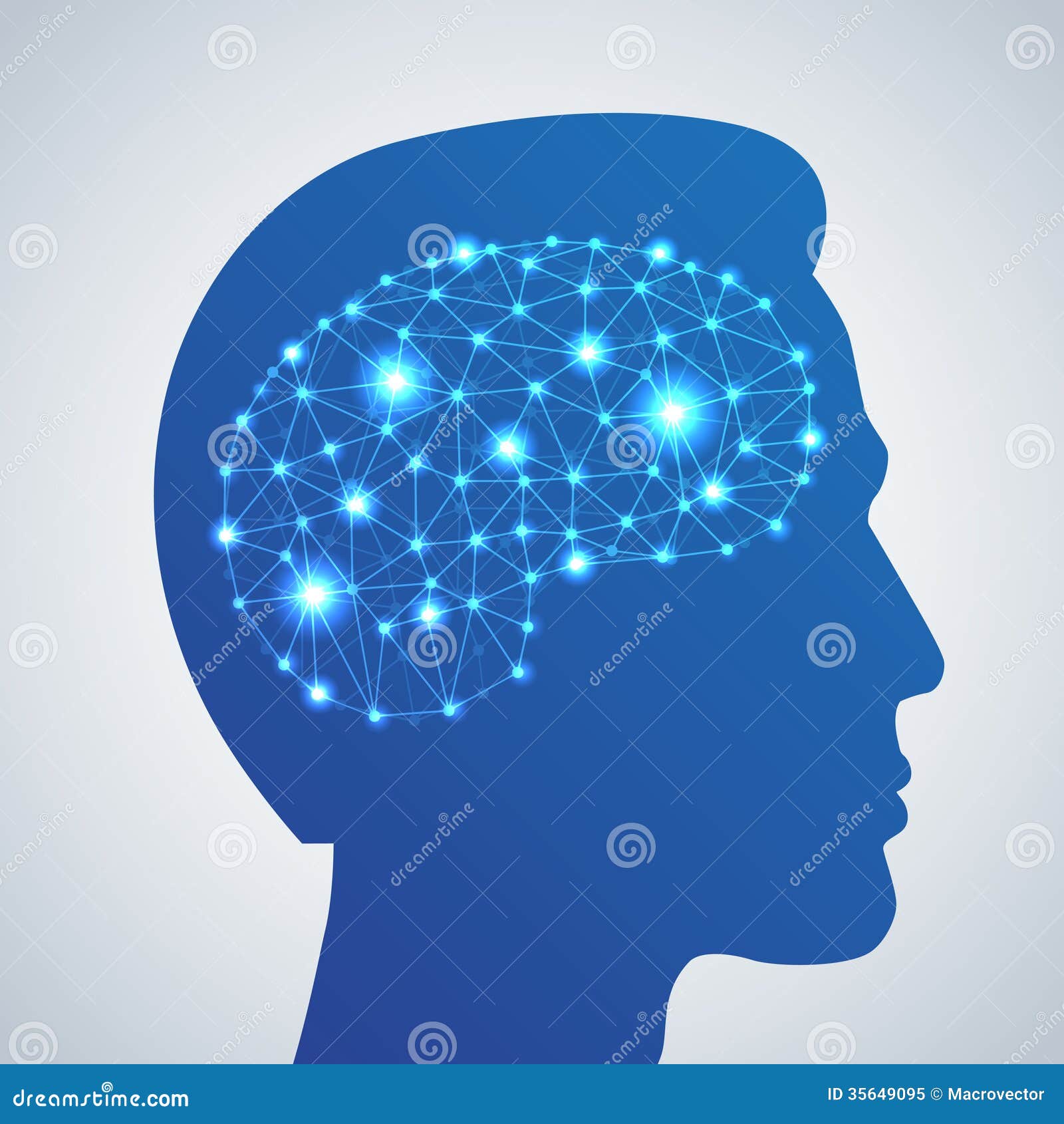 Brain Network Layers, Prominent Central Structures, Neural Network ...
