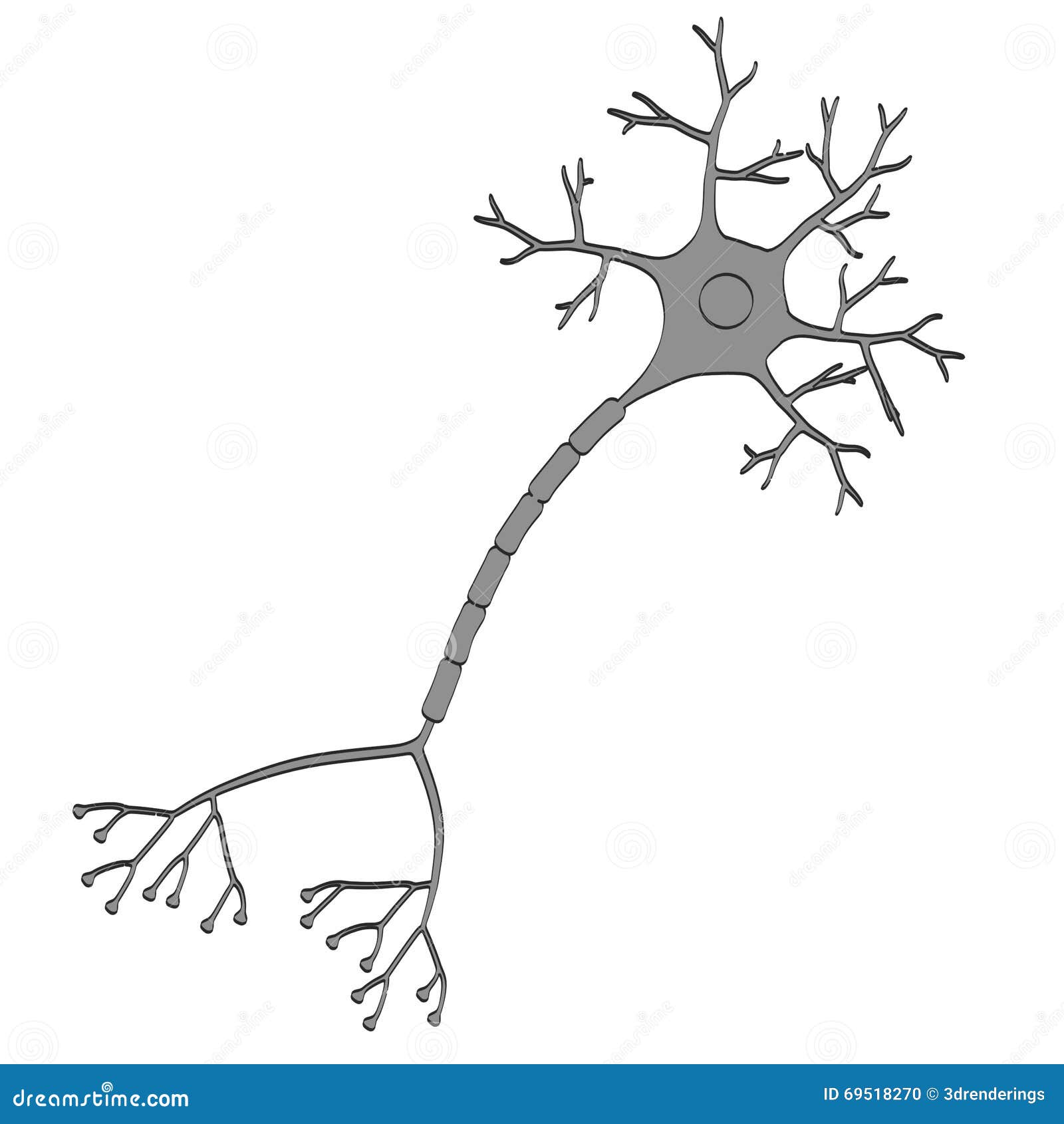 Brain neuron stock illustration. Illustration of toon - 69518270
