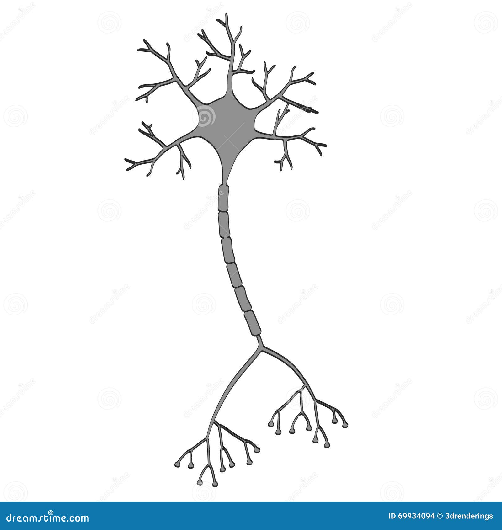 Brain neuron stock illustration. Illustration of brain - 69934094