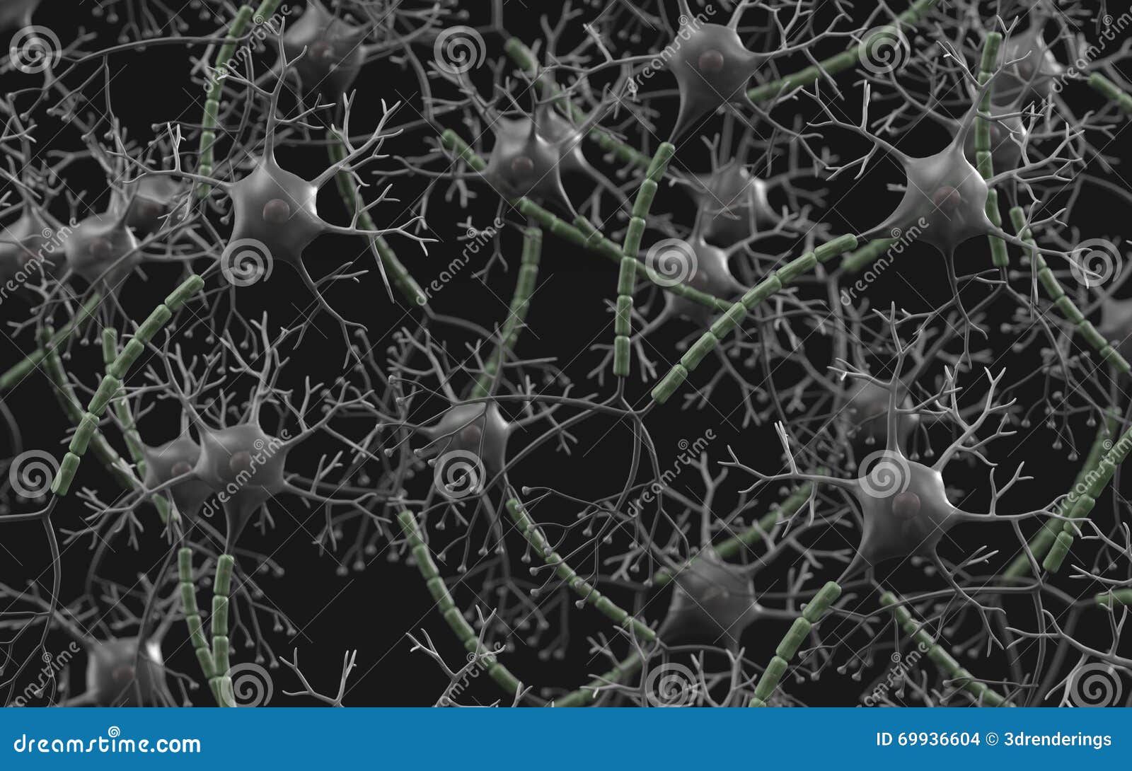 Brain Neuron Cell Diagram Vector Illustration | CartoonDealer.com #63127688