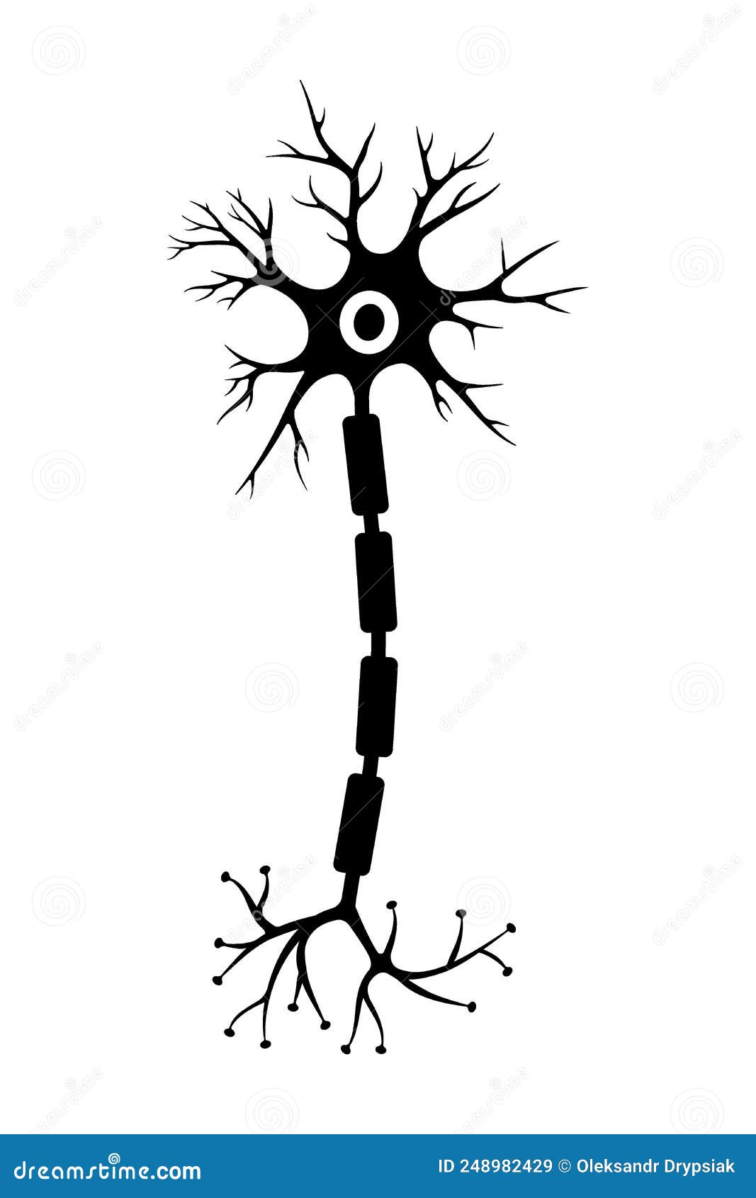 Brain Neuron Symbol. Human Neuron Cell Sign. Synapses, Myelin Sheat ... Brain Neuron Symbol. Human Neuron Cell Sign. Synapses, Myelin Sheat ...
