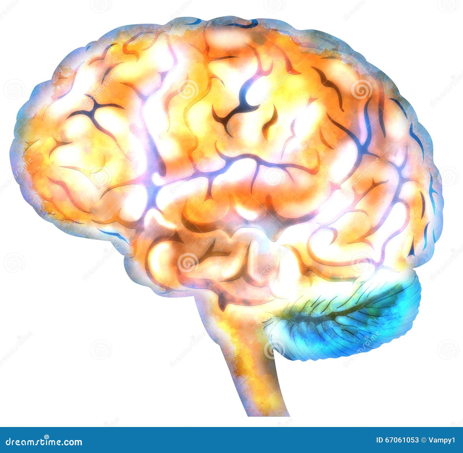 Brain neuron synapses stock illustration. Illustration of operating ...