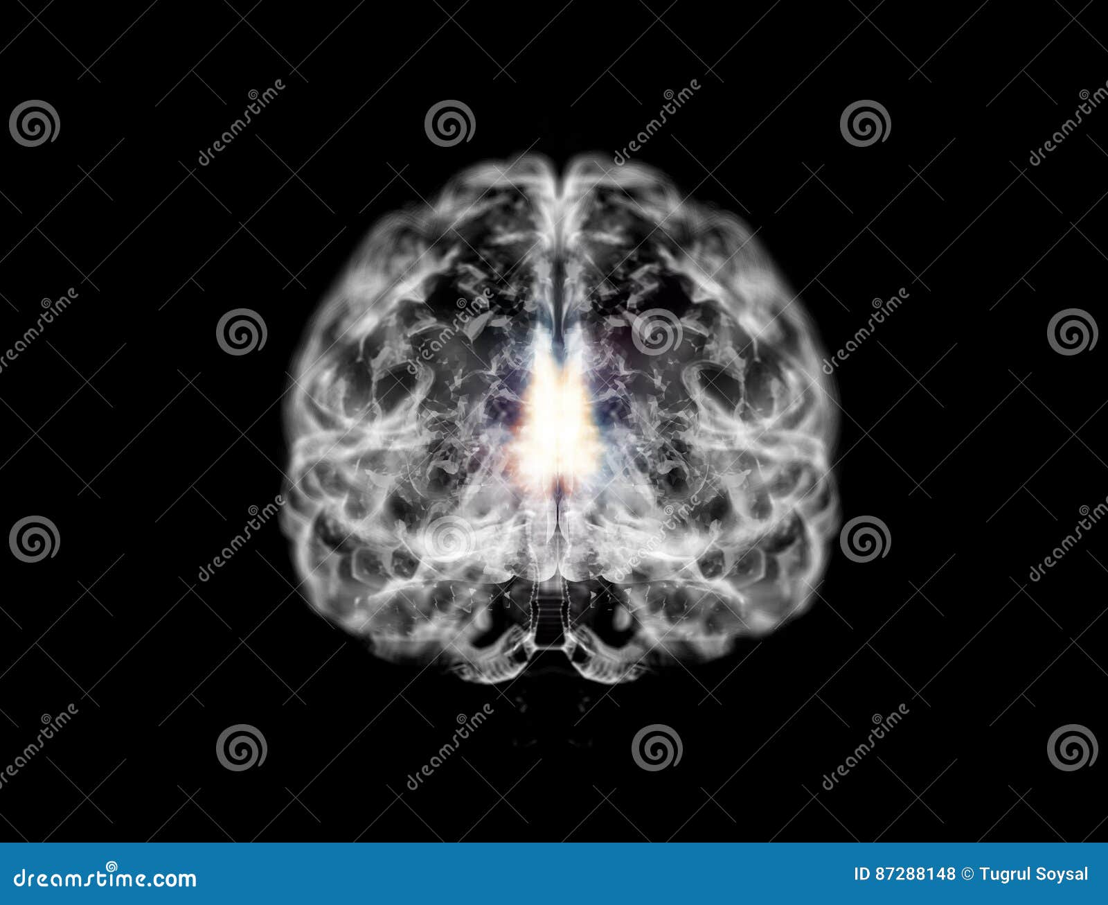 Brain for Neuron System Center Stock Illustration - Illustration of ...
