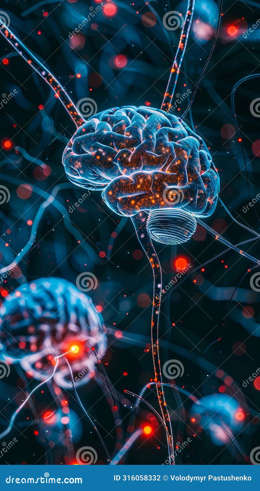A Brain with Neurons and Neurons Stock Photo - Image of invertebrate ...