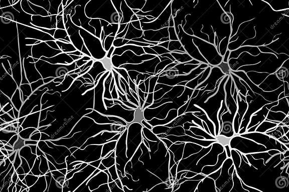 Brain Neurons - Abstract Minimalistic Grayscale Pattern Stock ...