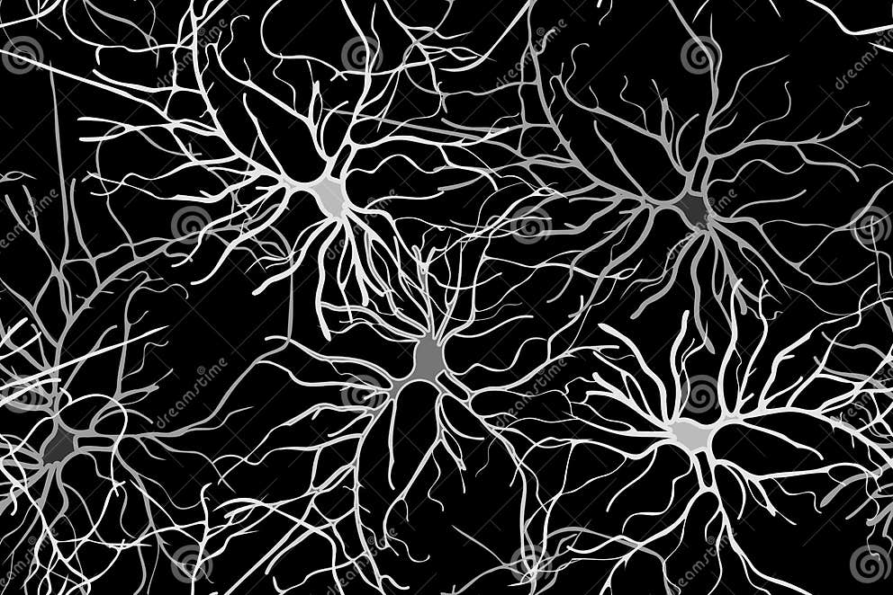 Brain Neurons - Abstract Minimalistic Grayscale Pattern Stock ...