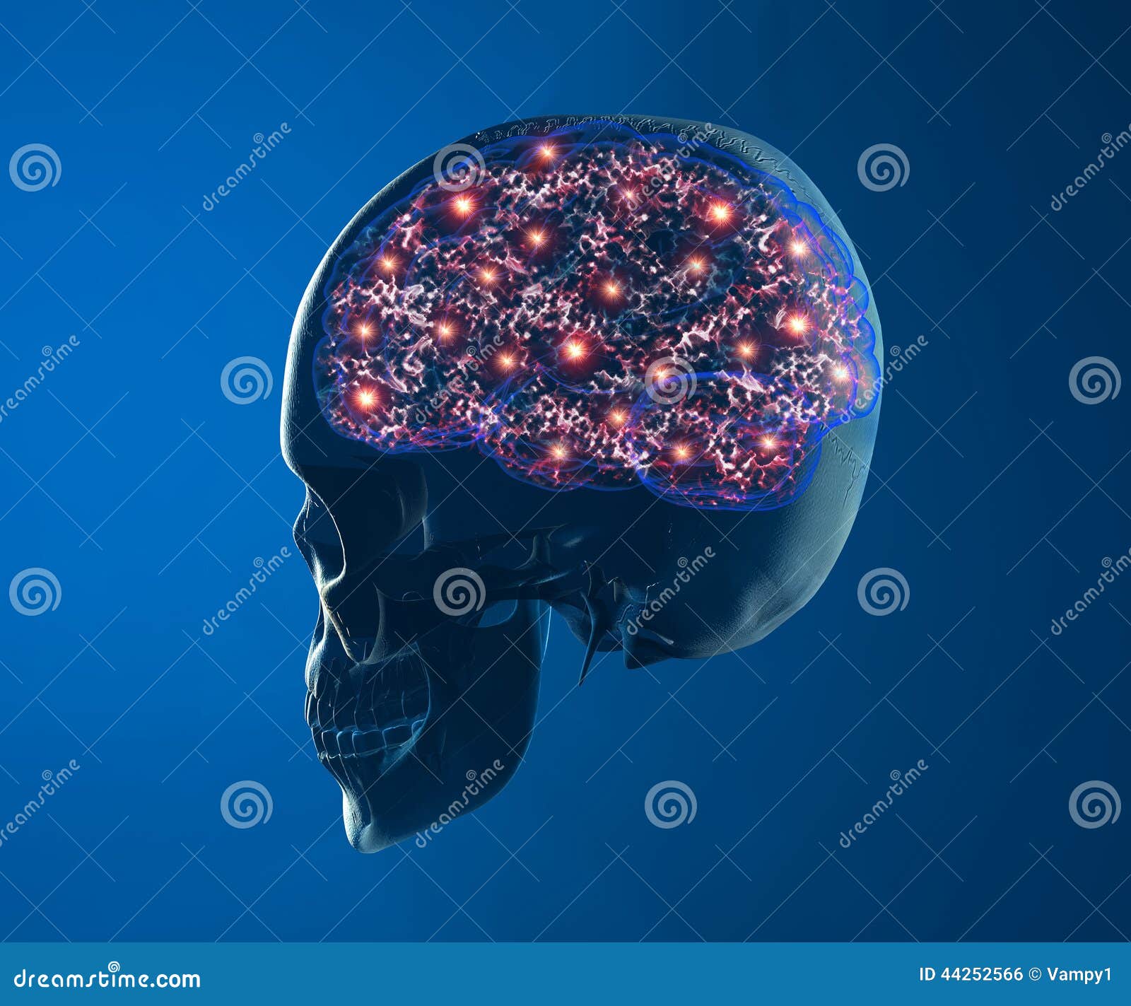 Brain Neurons Synapse Functions Stock Illustration - Illustration of ...