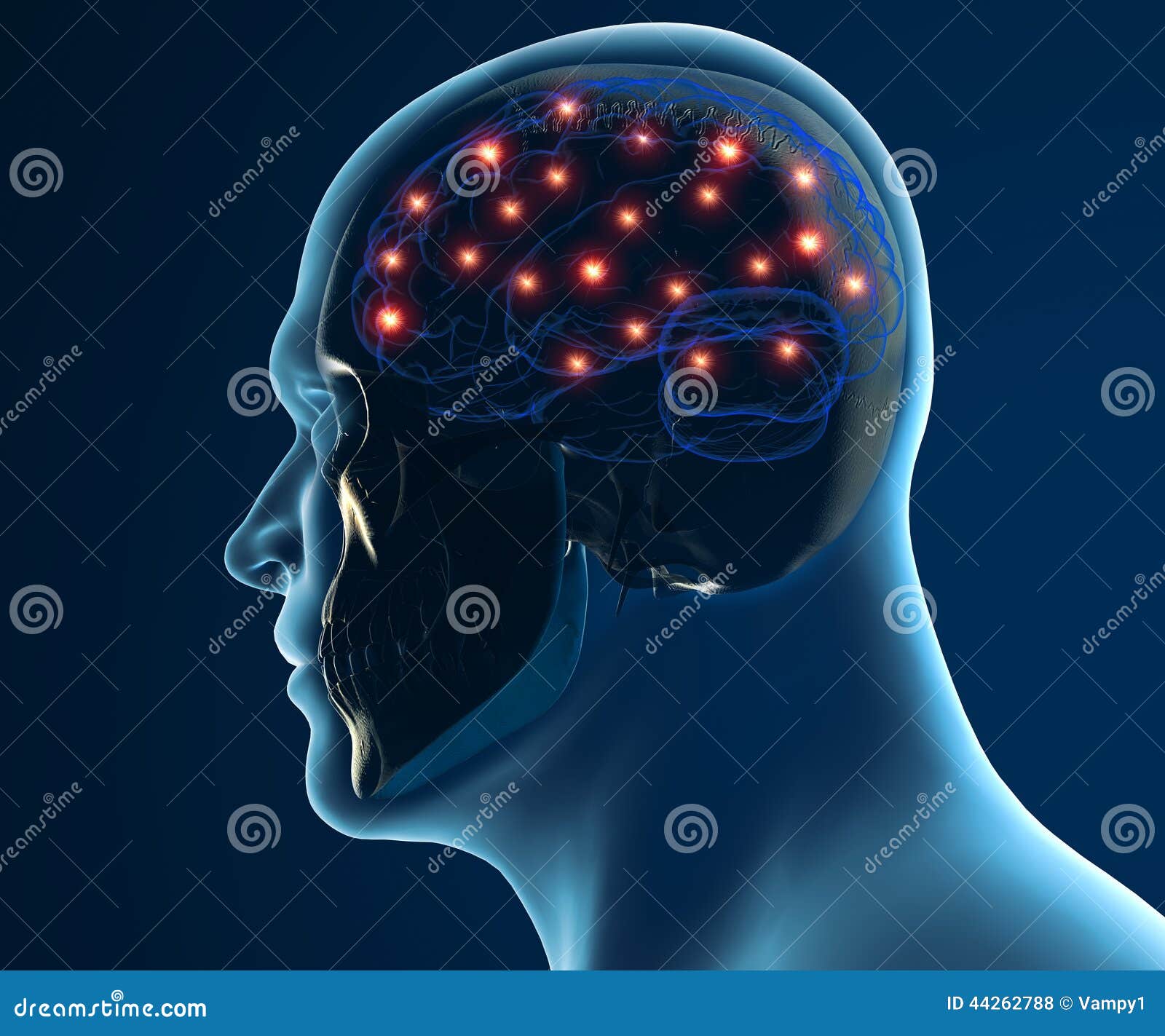 Brain Neurons Synapse Functions Stock Illustration - Illustration of ...