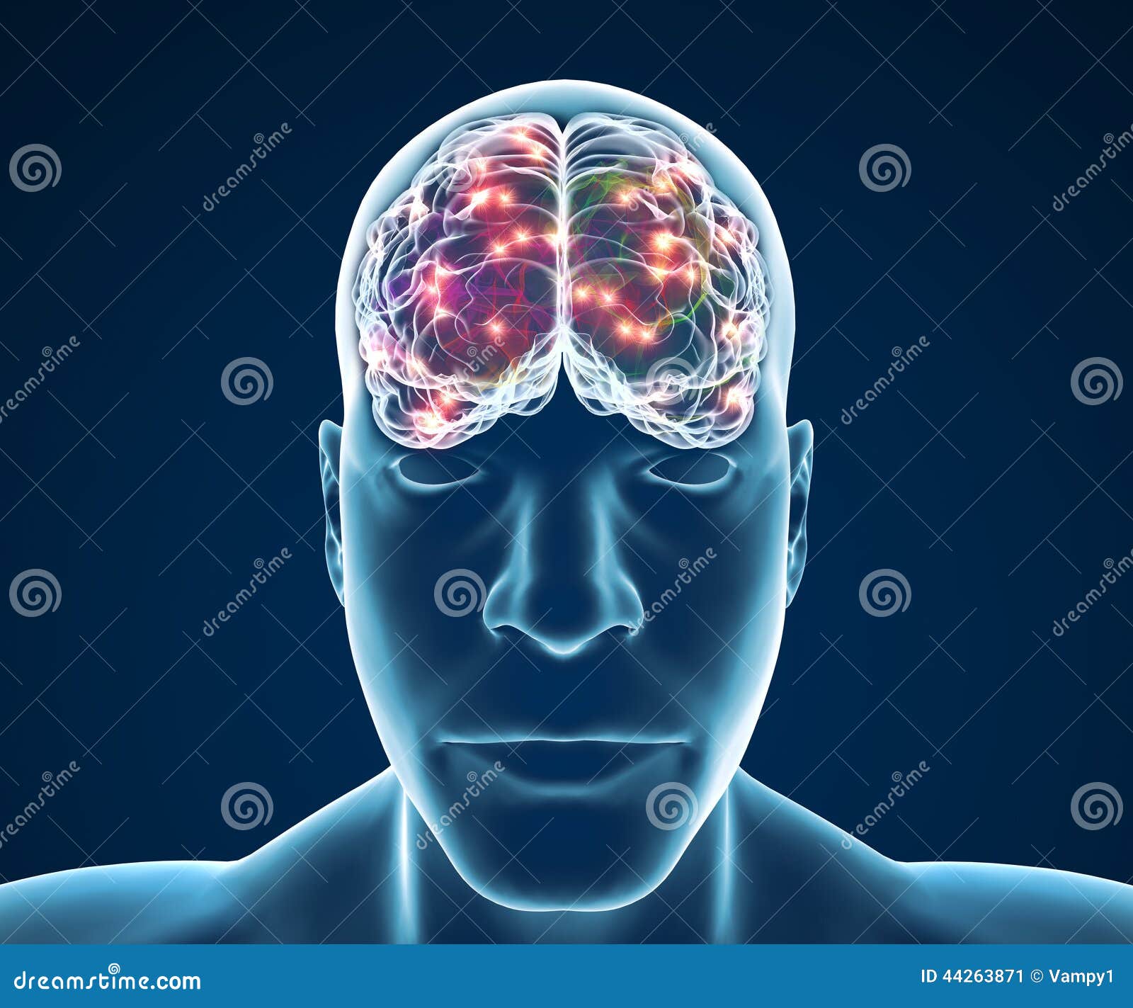 Brain Neurons Synapse Functions Stock Illustration - Illustration of ...