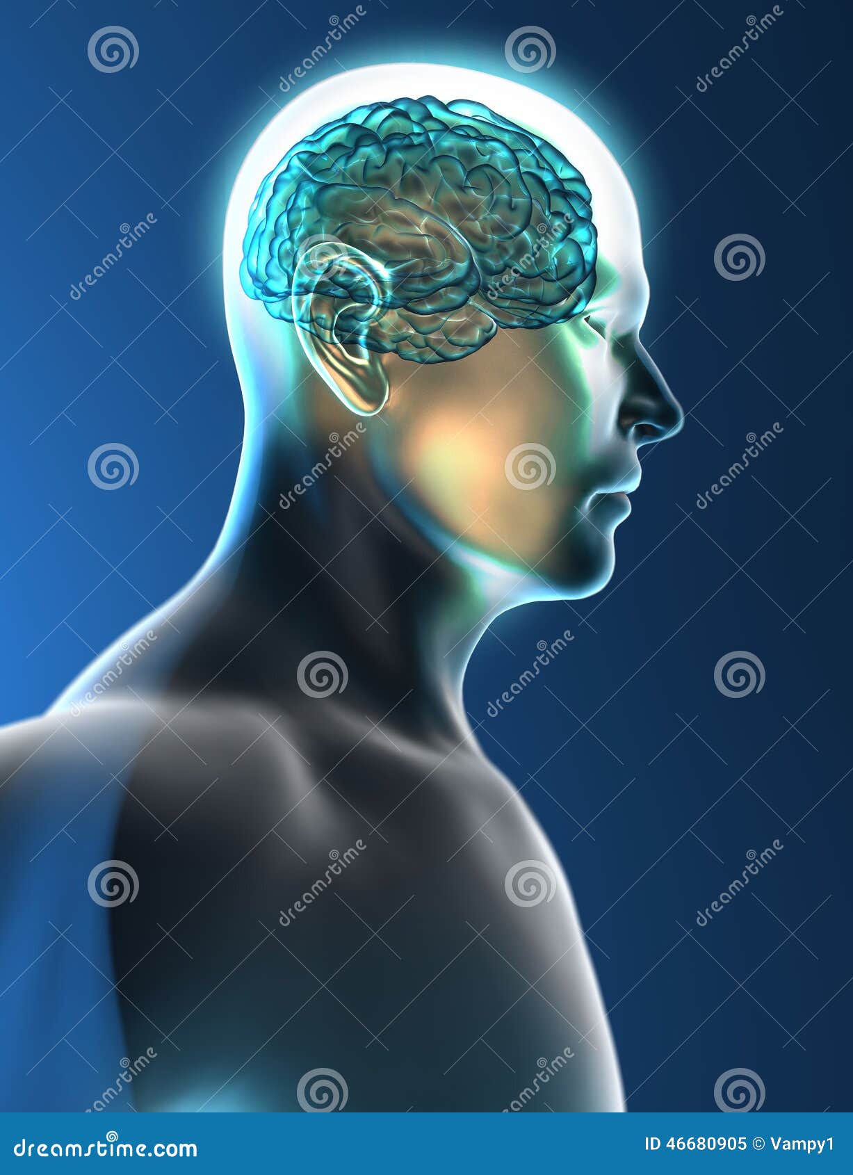 Brain Neurons Synapse Head Profile Stock Illustration - Illustration of ...