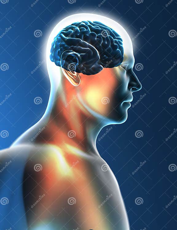 Brain Neurons Synapse Head Profile Stock Illustration - Illustration of ...