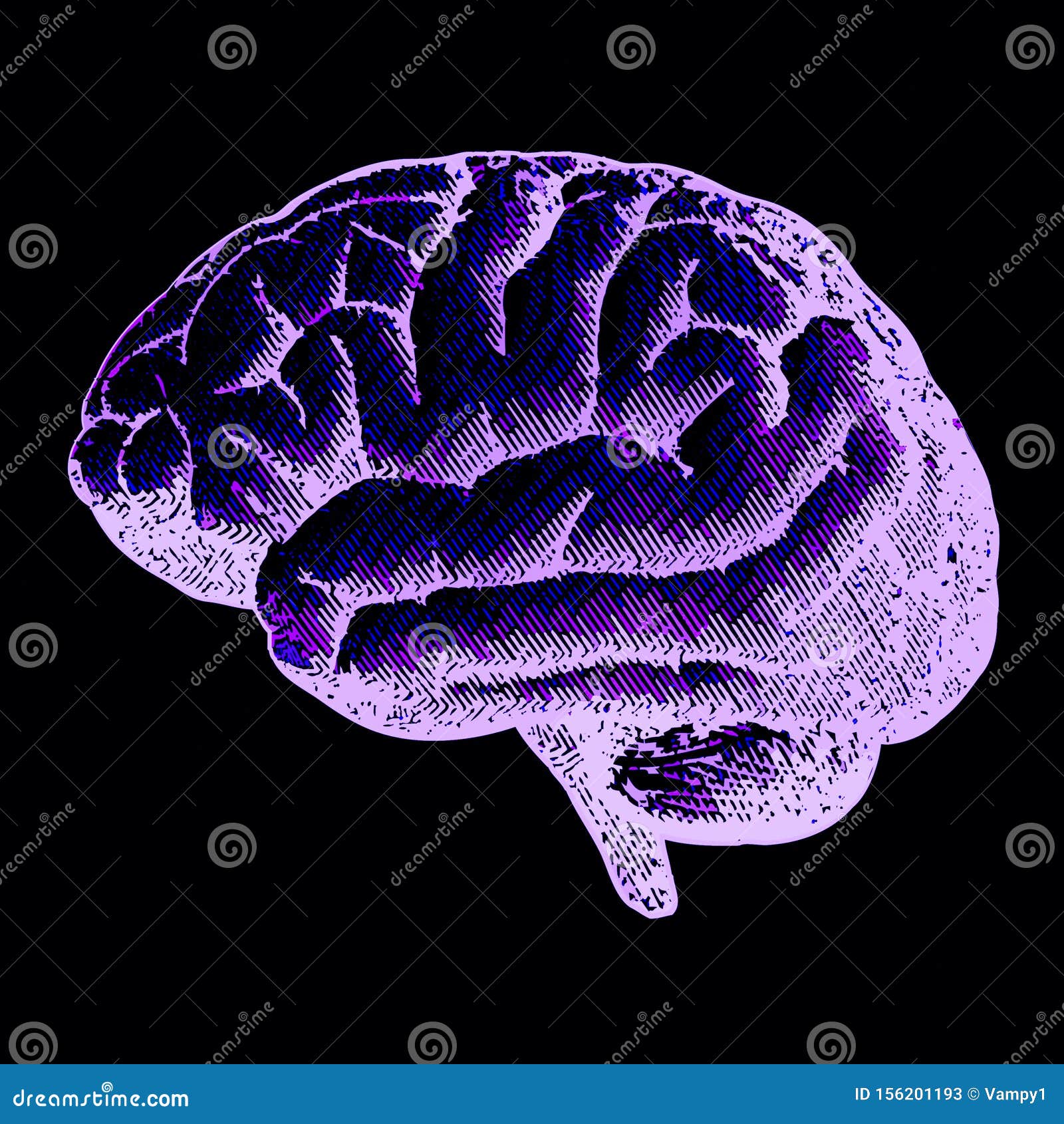 Brain, Neurons, Synapses, Neural Network Circuit of Neurons ... Brain, Neurons, Synapses, Neural Network Circuit of Neurons ...