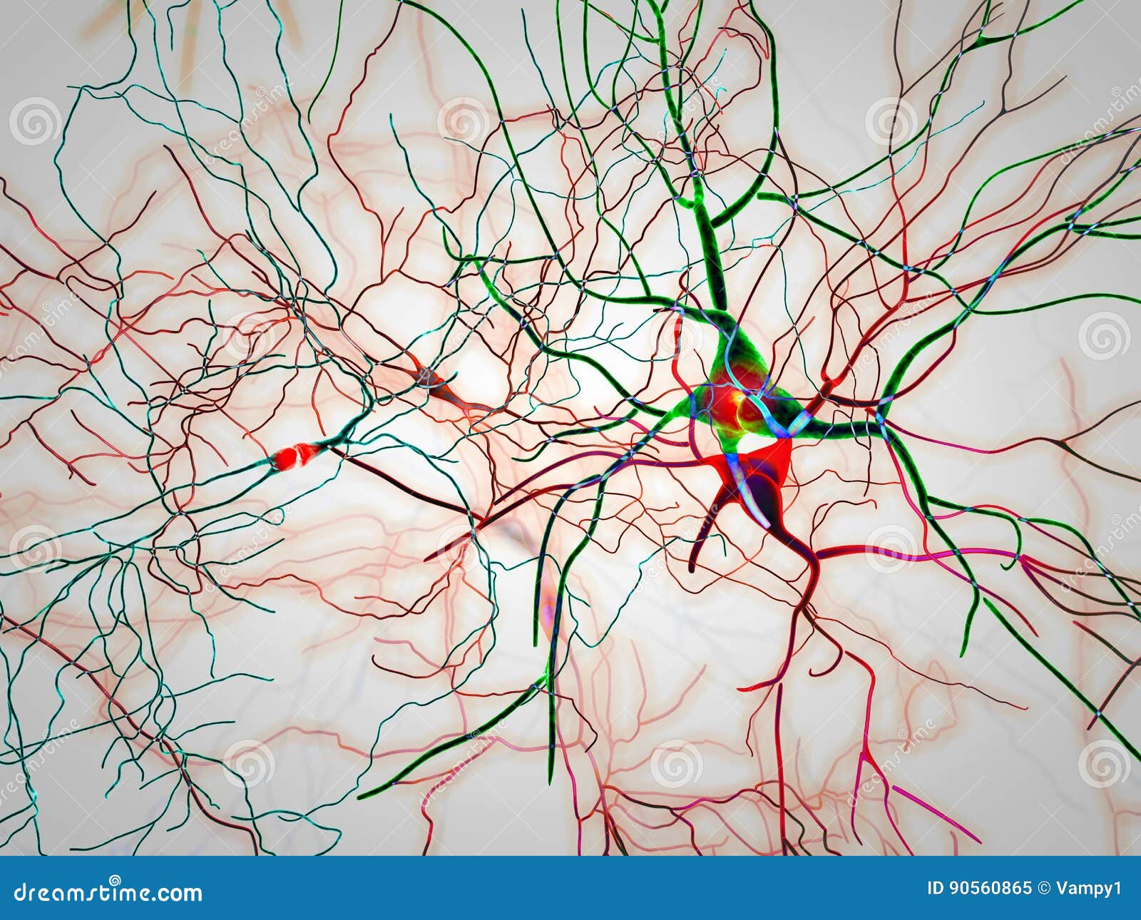 Neurons, Synapses, Human Brain Exploration And Capabilities Stock Photo ...