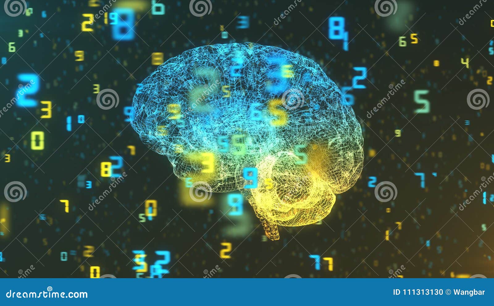 Brain and Numbers - Big Data and Statistics - Left View Stock ...