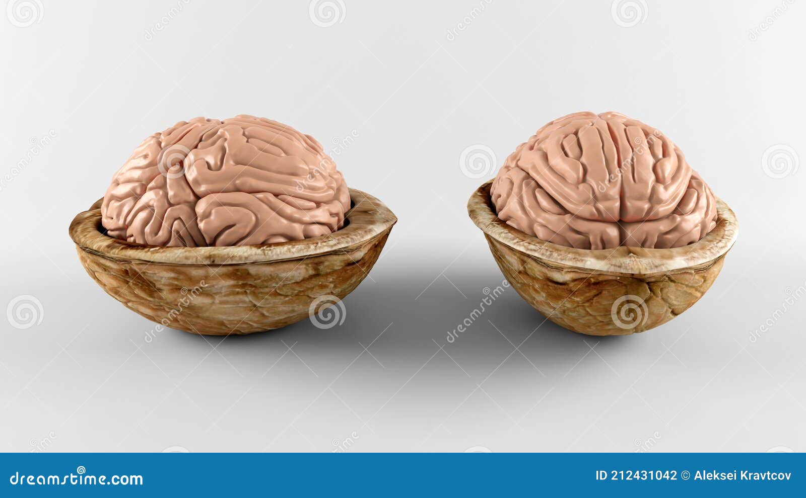 Brain in Nuts on Gray Background Stock Illustration - Illustration of ...