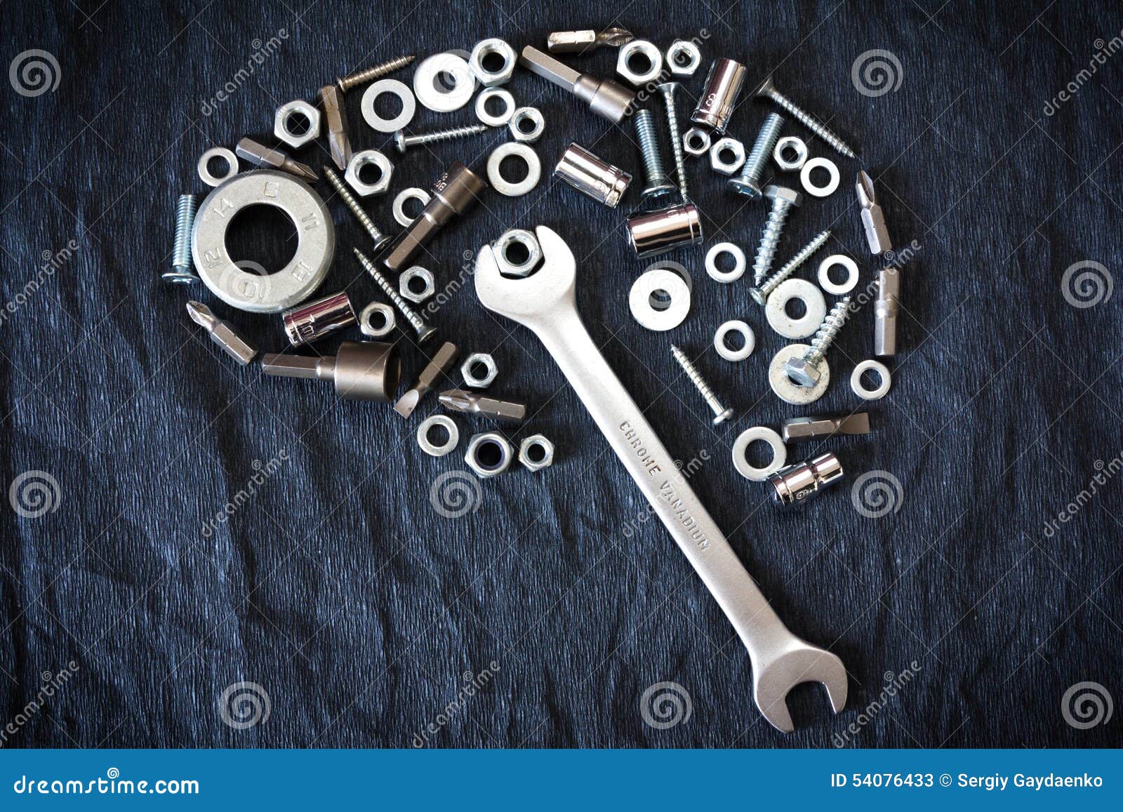 Brain of the Nuts and Tools Stock Image - Image of body, fasten: 54076433