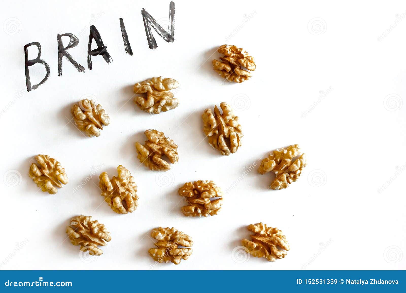 Brain and Nuts on a White Background, Healthy Eating Concept Stock ...