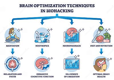 Brain Optimization Techniques and Mind Biohacking Methods Outline ...