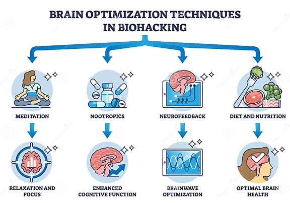 Brain Optimization Techniques and Mind Biohacking Methods Outline Diagram Stock Vector ...