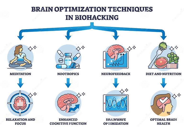 Brain Optimization Techniques and Mind Biohacking Methods Outline Diagram Stock Vector ...