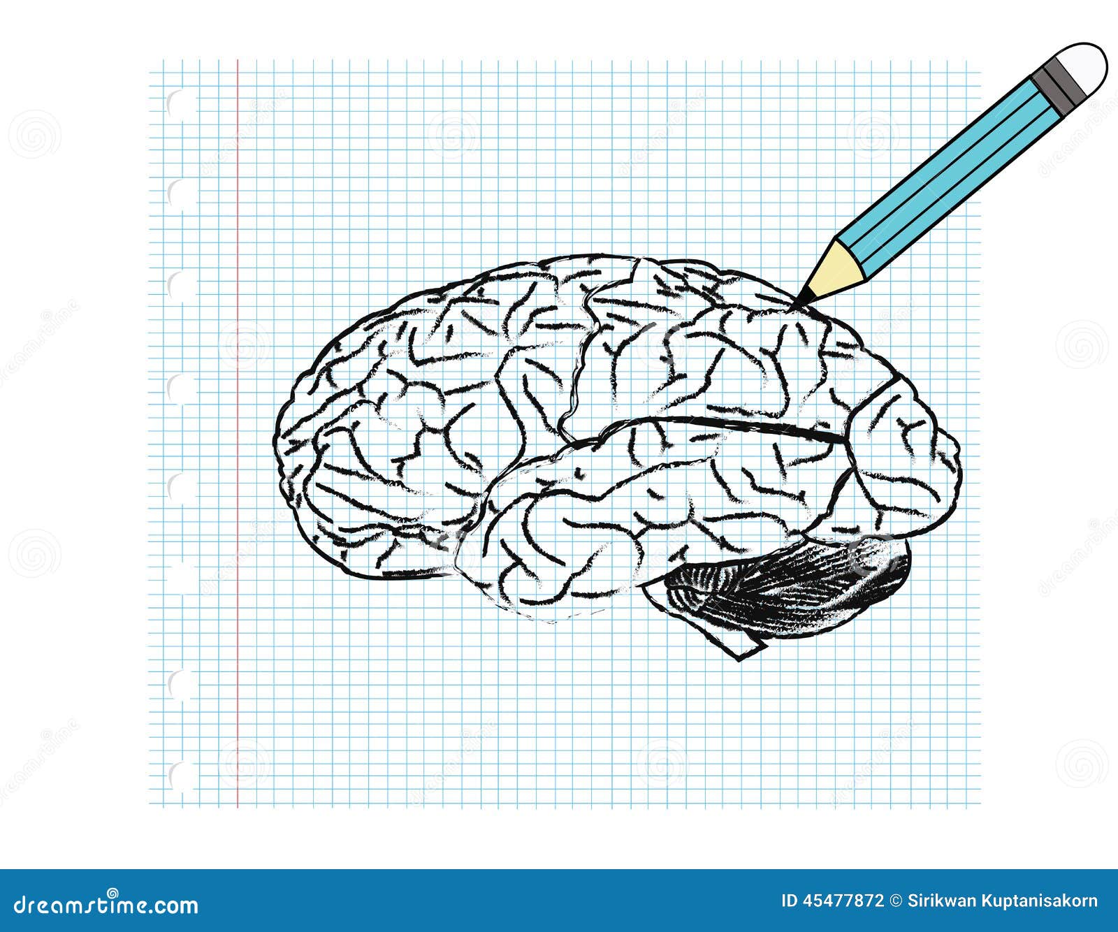 Brain stock vector. Illustration of cord, icon, graphic - 45477872