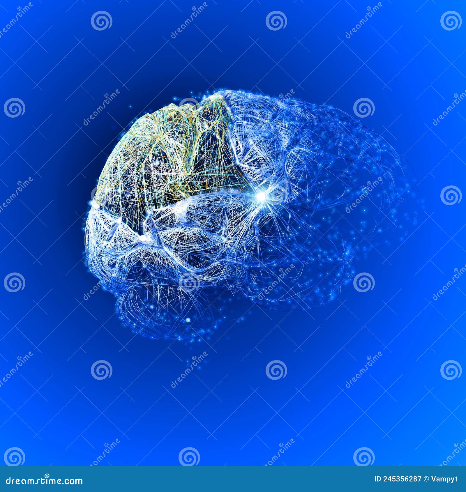 Brain, the Parietal Lobe is Vital for Sensory Perception and ...