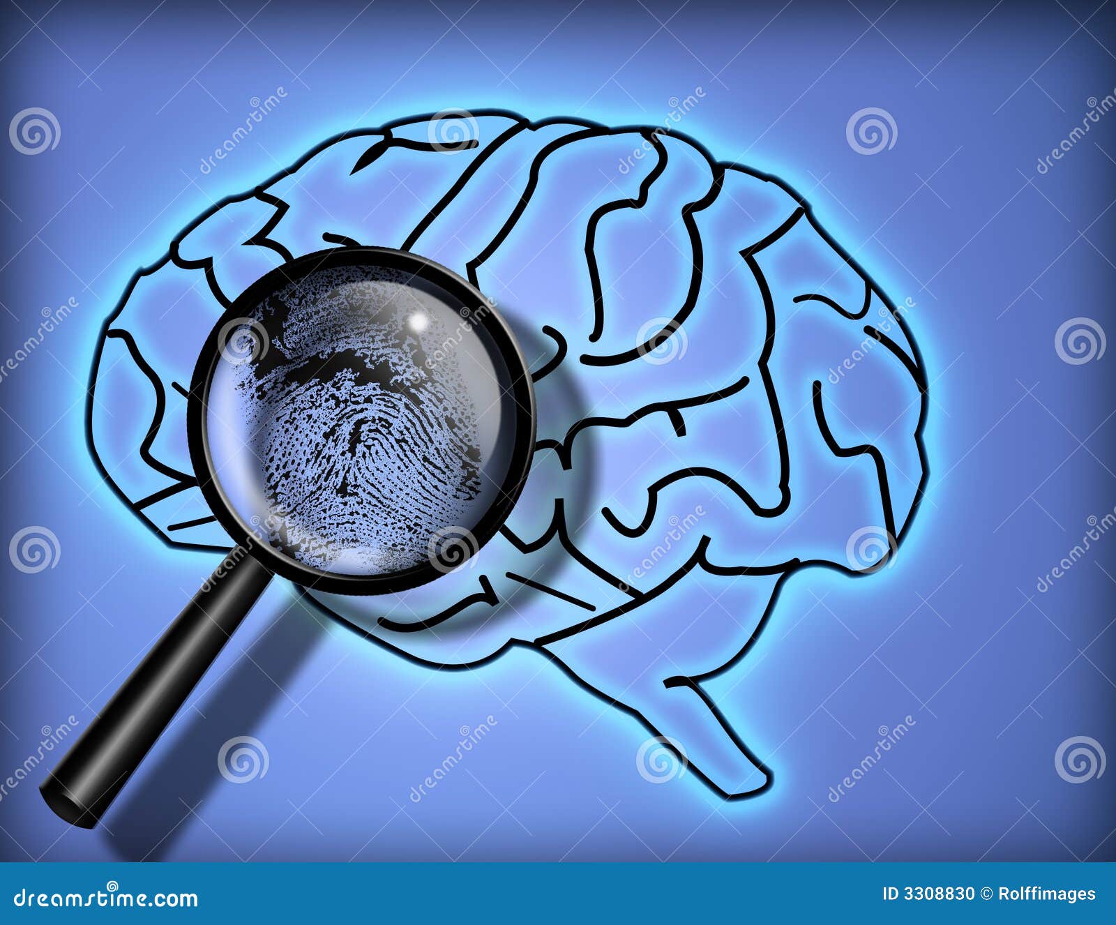 Brain - Persona;ity - Identity Stock Photo - Image of knowledge, cortex ...