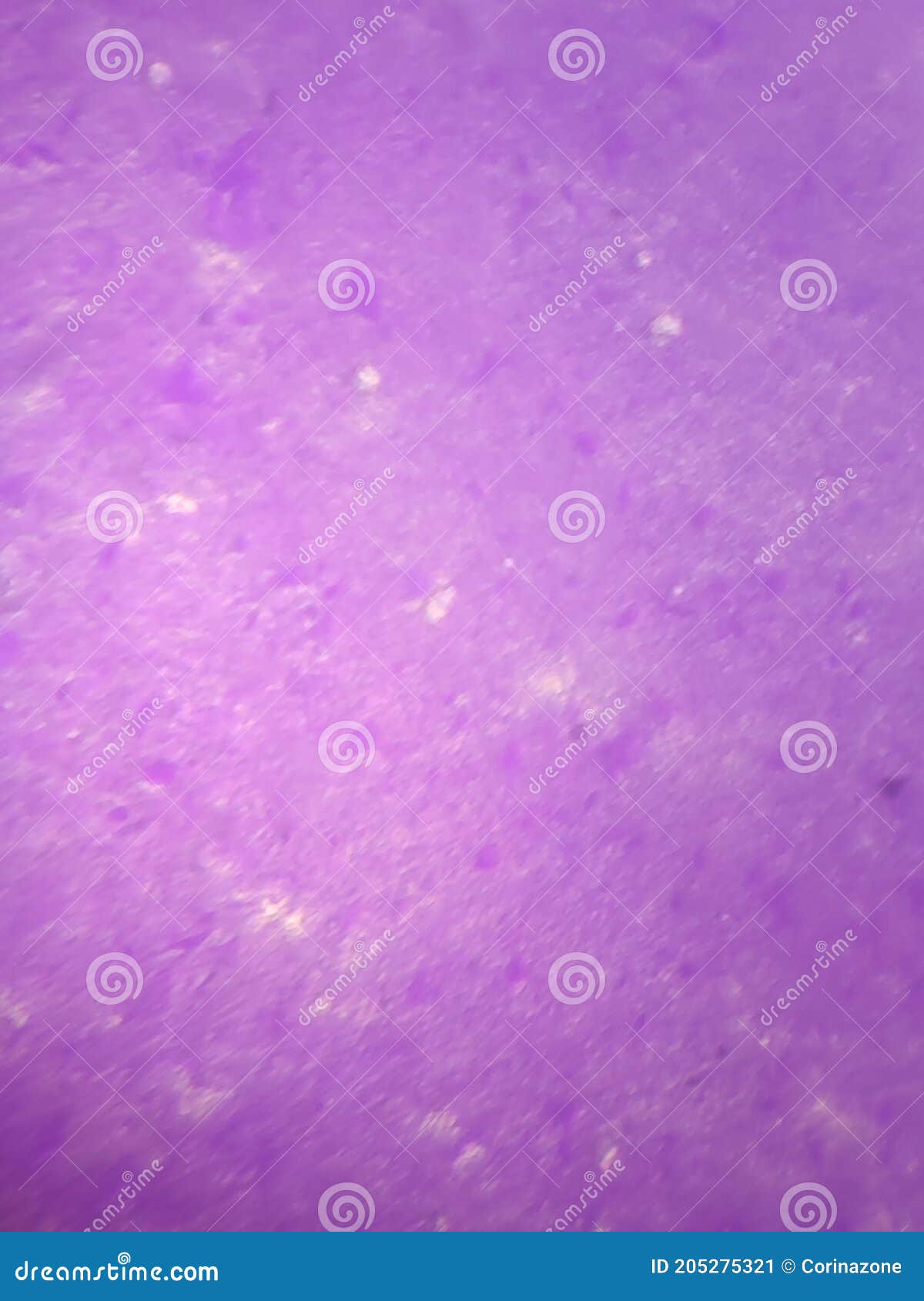 The Brain of a Pig Under the Microscope Stock Image - Image of biology ...