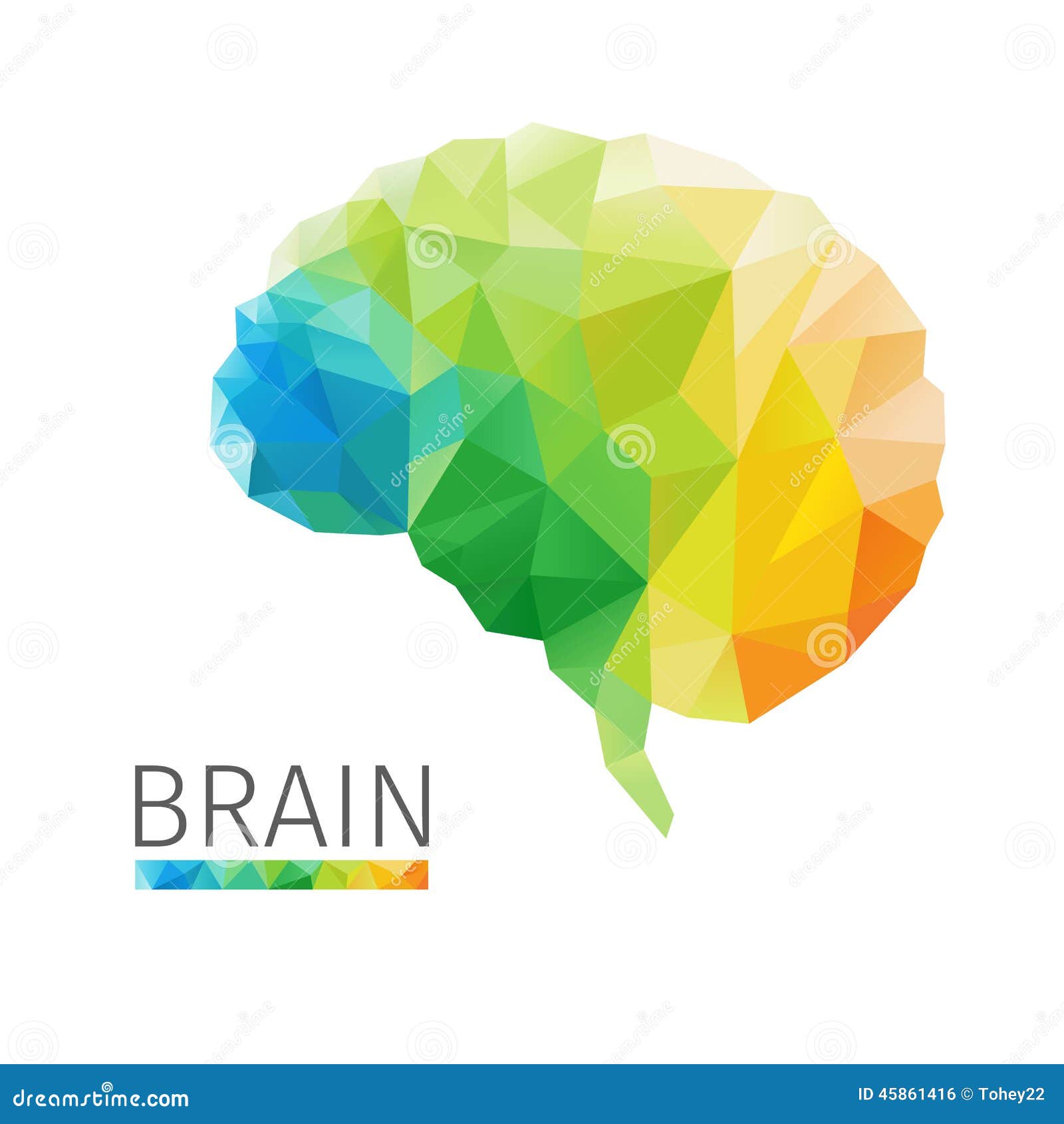 Brain polygon stock illustration. Illustration of efficient - 45861416