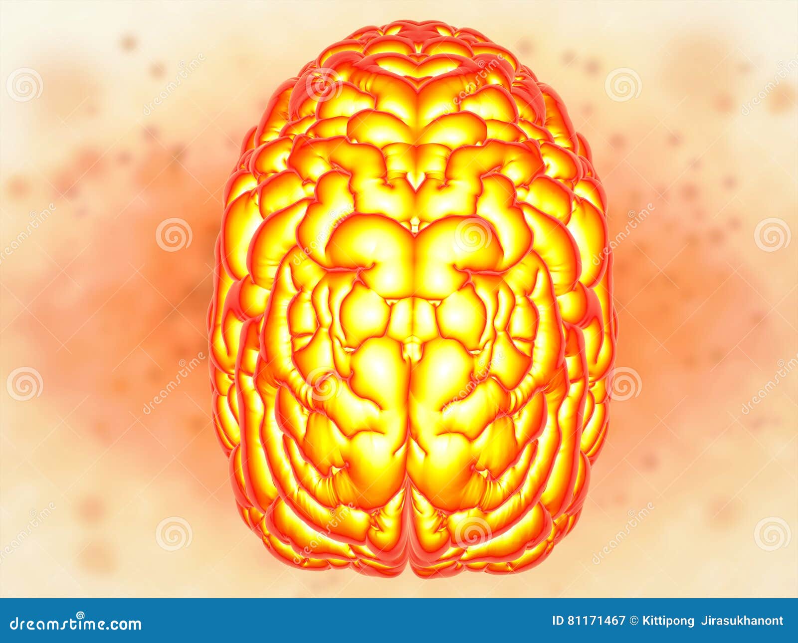 Brain power concept stock illustration. Illustration of nerve - 81171467