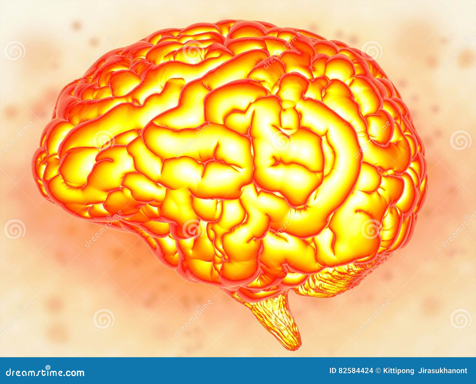 Brain power concept stock illustration. Illustration of nervous - 82584424