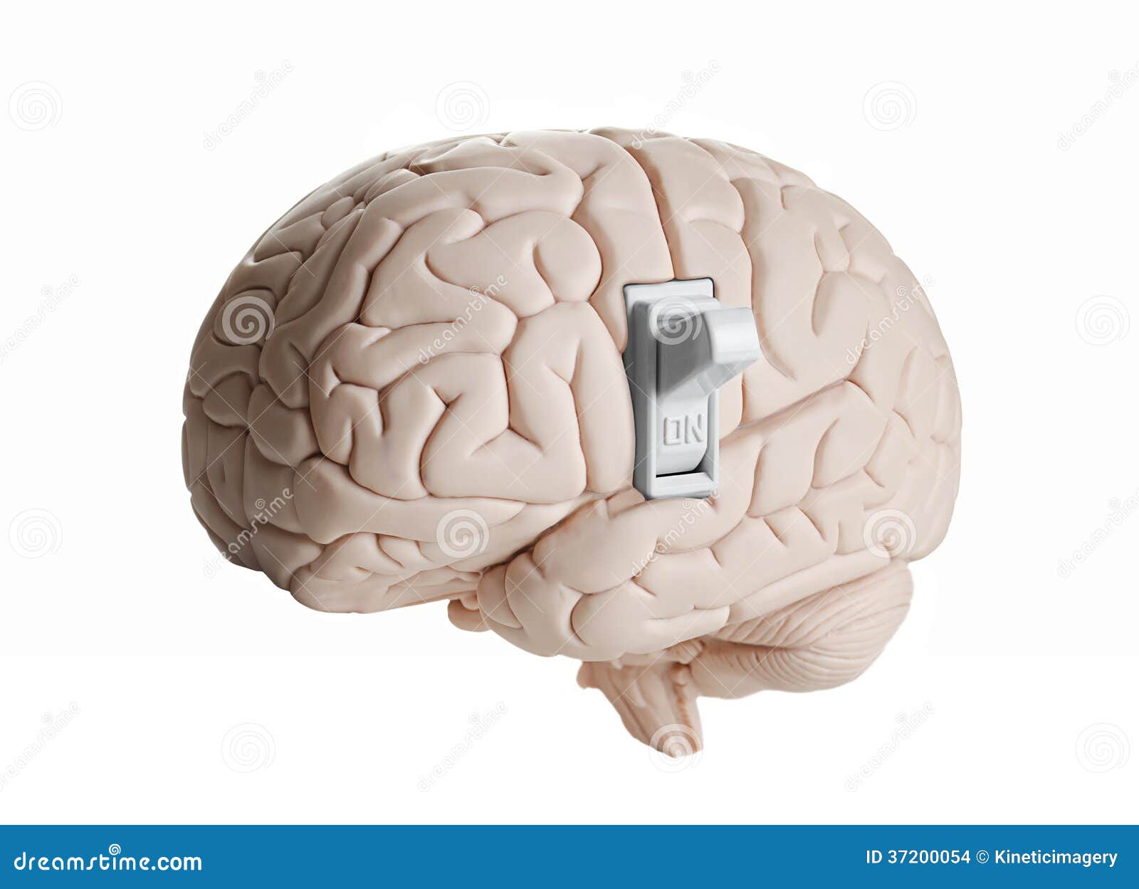 Brain power stock photo. Image of current, learning, conscience - 37200054