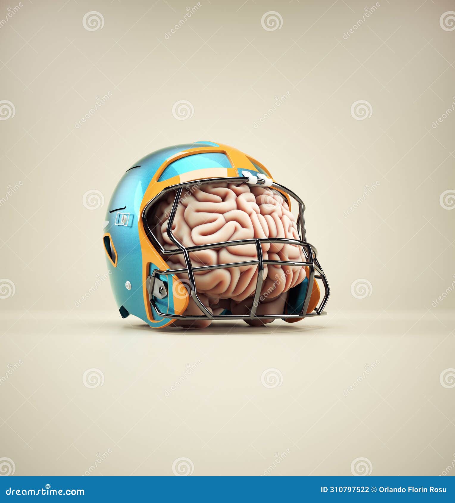 Brain Protected by a Helmet. the Concept of Intellectual Property ...
