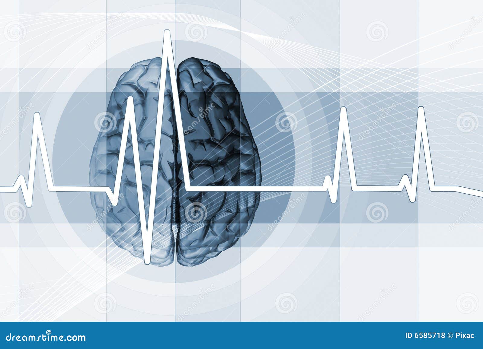 Brain Pulse stock illustration. Illustration of sine, artwork - 6585718