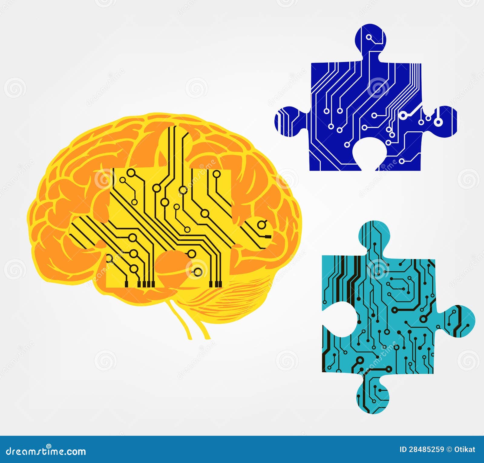 Puzzling Brain Network Pathways: An Enigmatic Jigsaw With Colorful ...