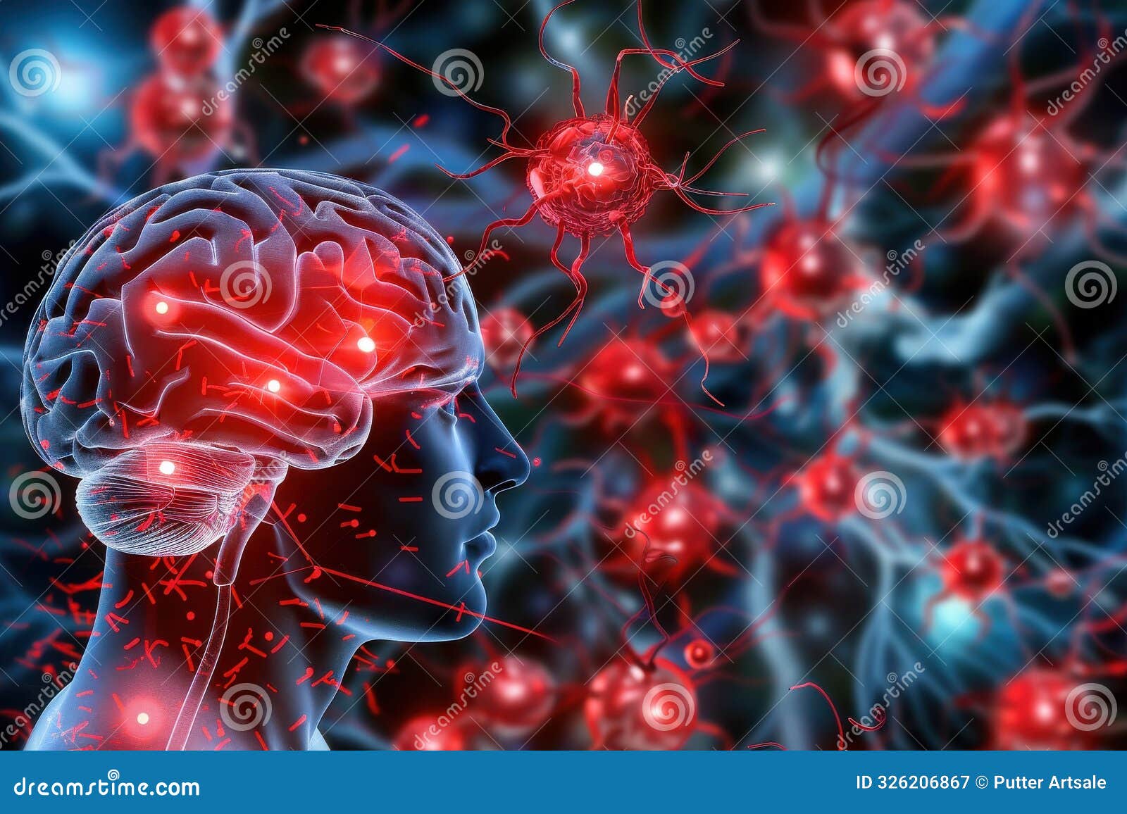Brain Activity, Human Brain with Active Neurons, Neurological Study ...