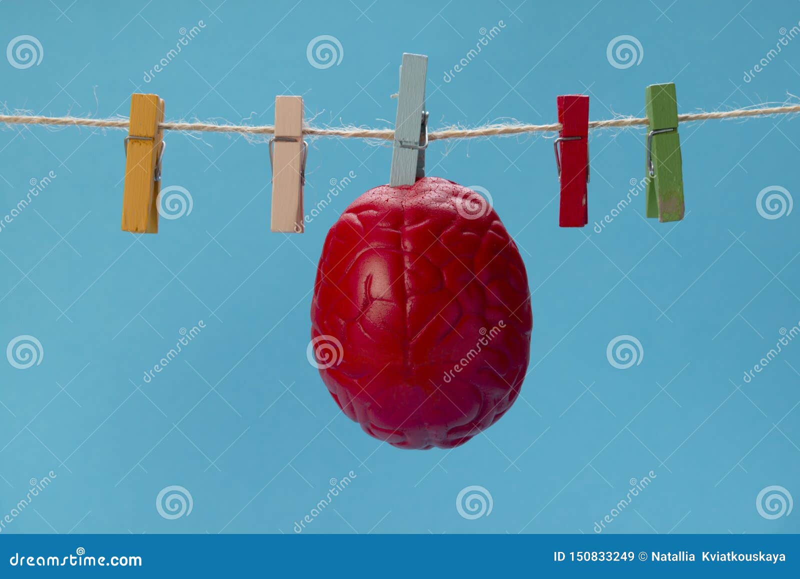 The Brain of Red Color is Dried on a Clothesline, on a Clothespin. Dry ...