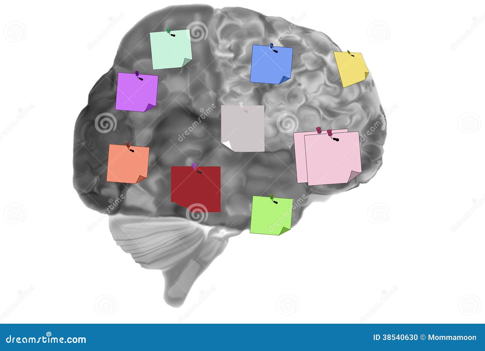 Brain with Reminder Notes stock illustration. Illustration of brain ...