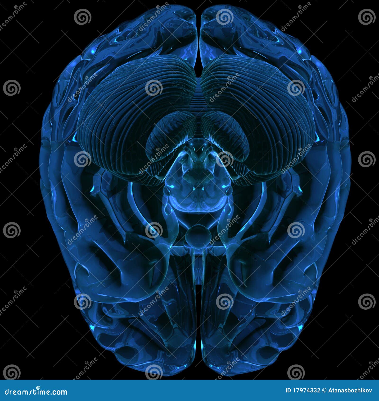 Brain rendered in 3D stock illustration. Illustration of background ...