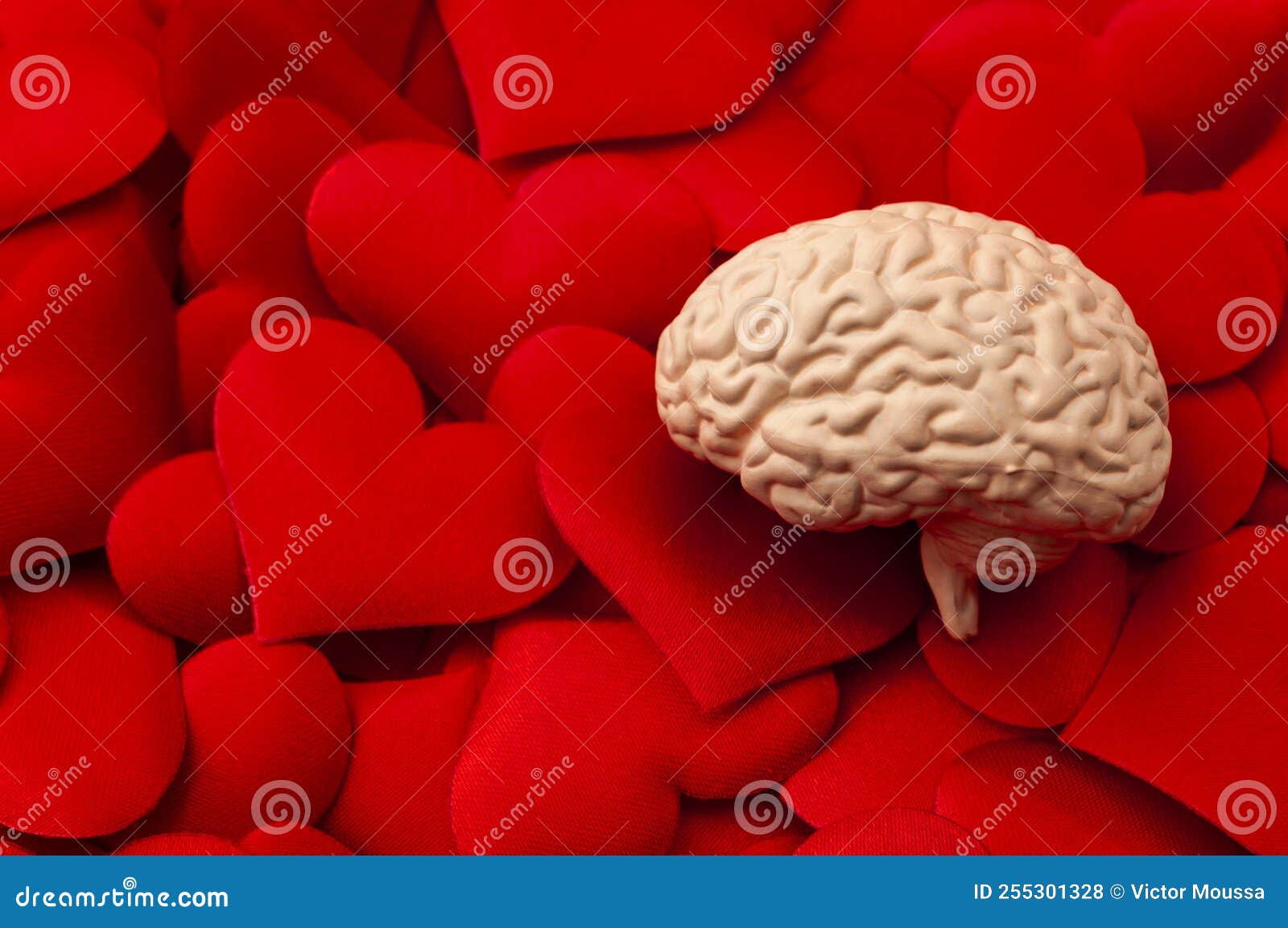 Brain Representing Analytical Thinking on Top of Hearts Conceptual ...