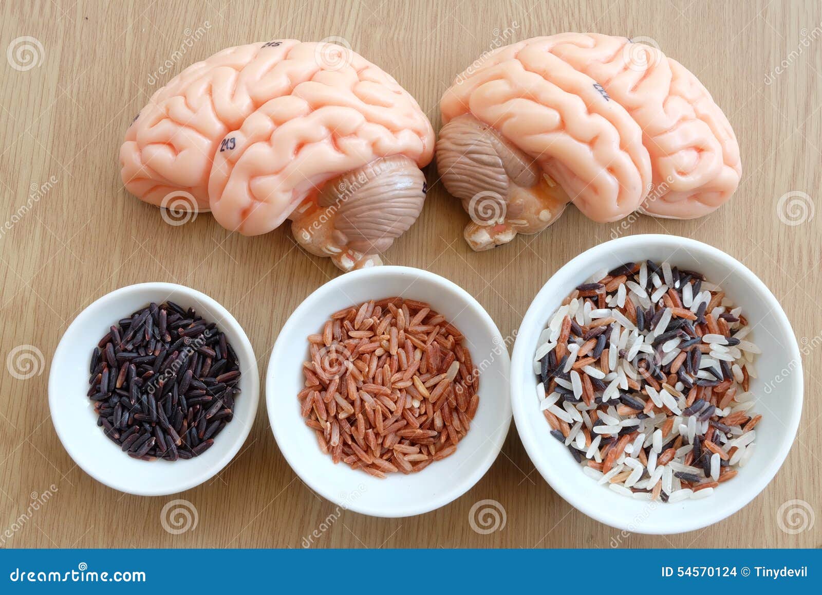 Brain and rice stock photo. Image of brain, rice, cuisine - 54570124