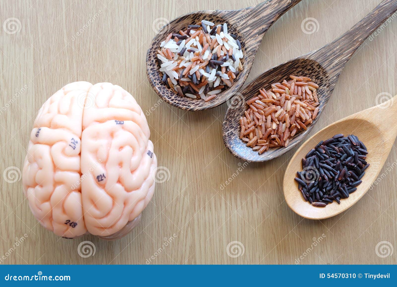 Brain and rice stock photo. Image of natural, health - 54570310