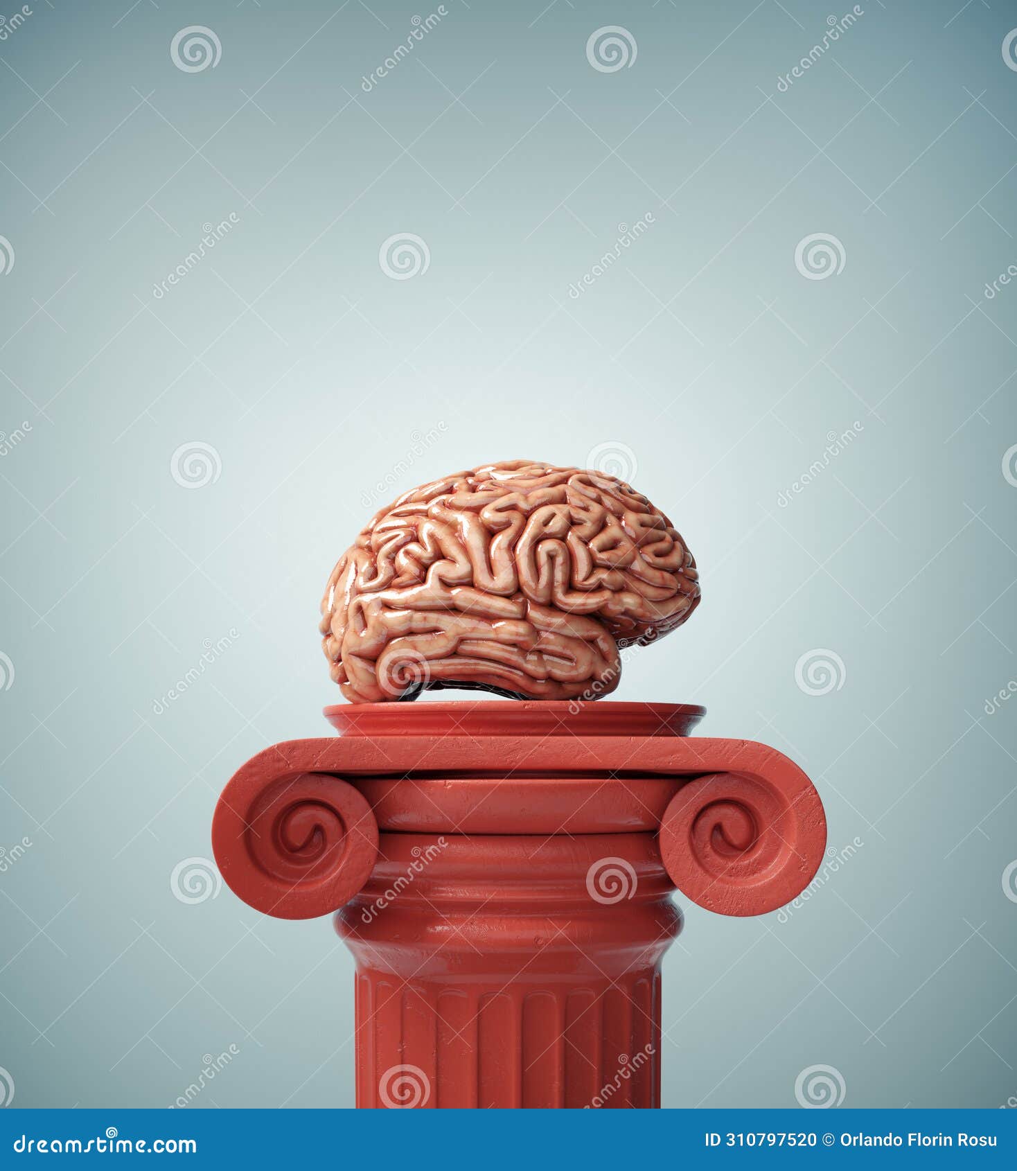 Brain on the Roman Column Suggesting the Concept of Personal ...