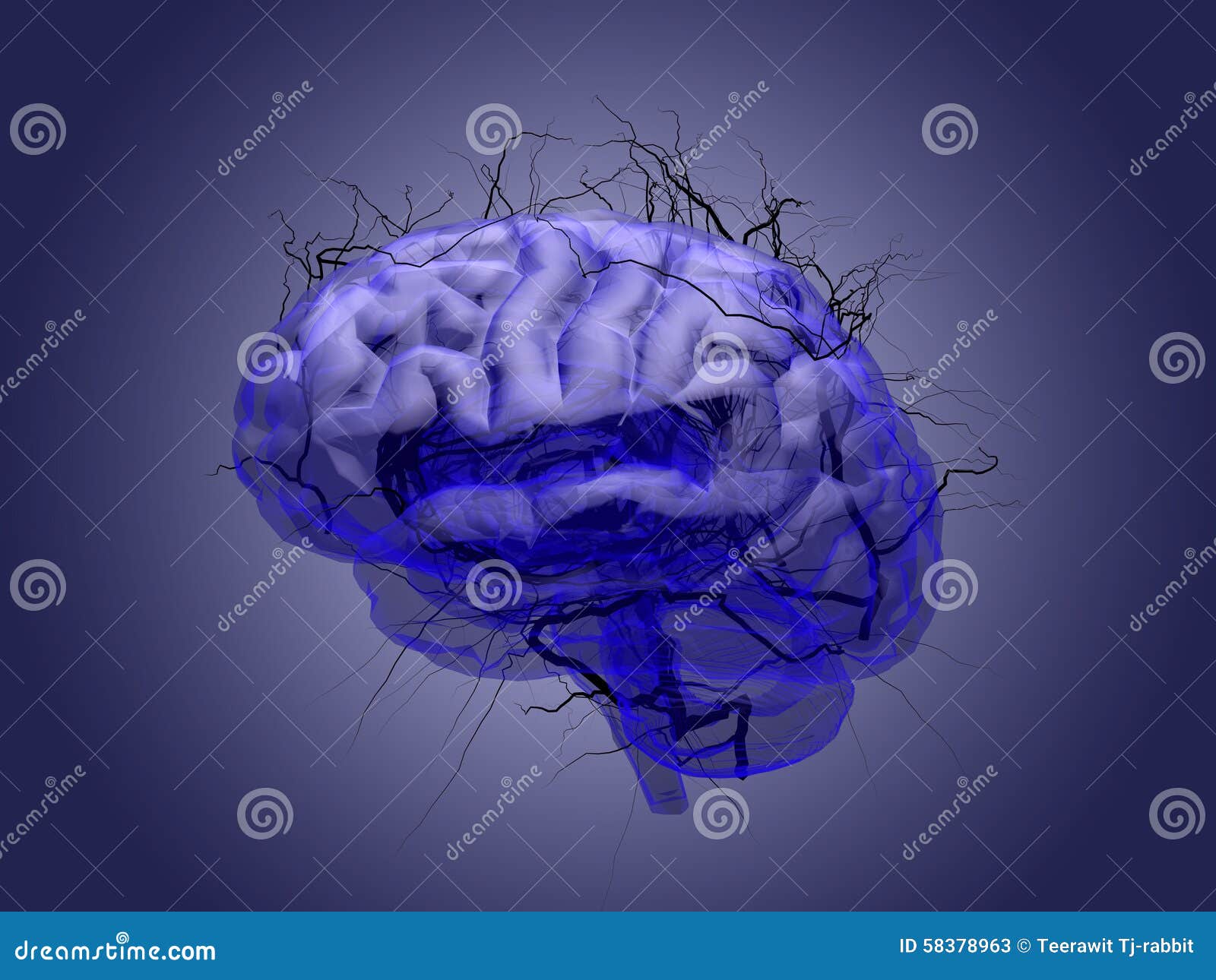Brain Root Concept of a Root Growing in the Shape of a Human Bra Stock ...