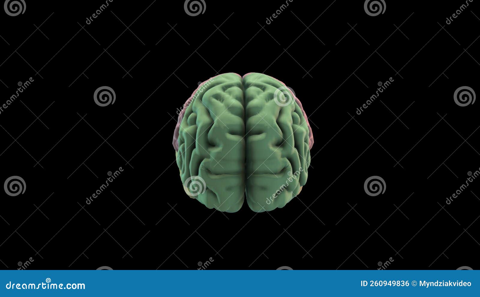 Brain Rotation Loop Background 3D Rendering Animation. Human Brain Lobe ... Brain Rotation Loop Background 3D Rendering Animation. Human Brain Lobe ...