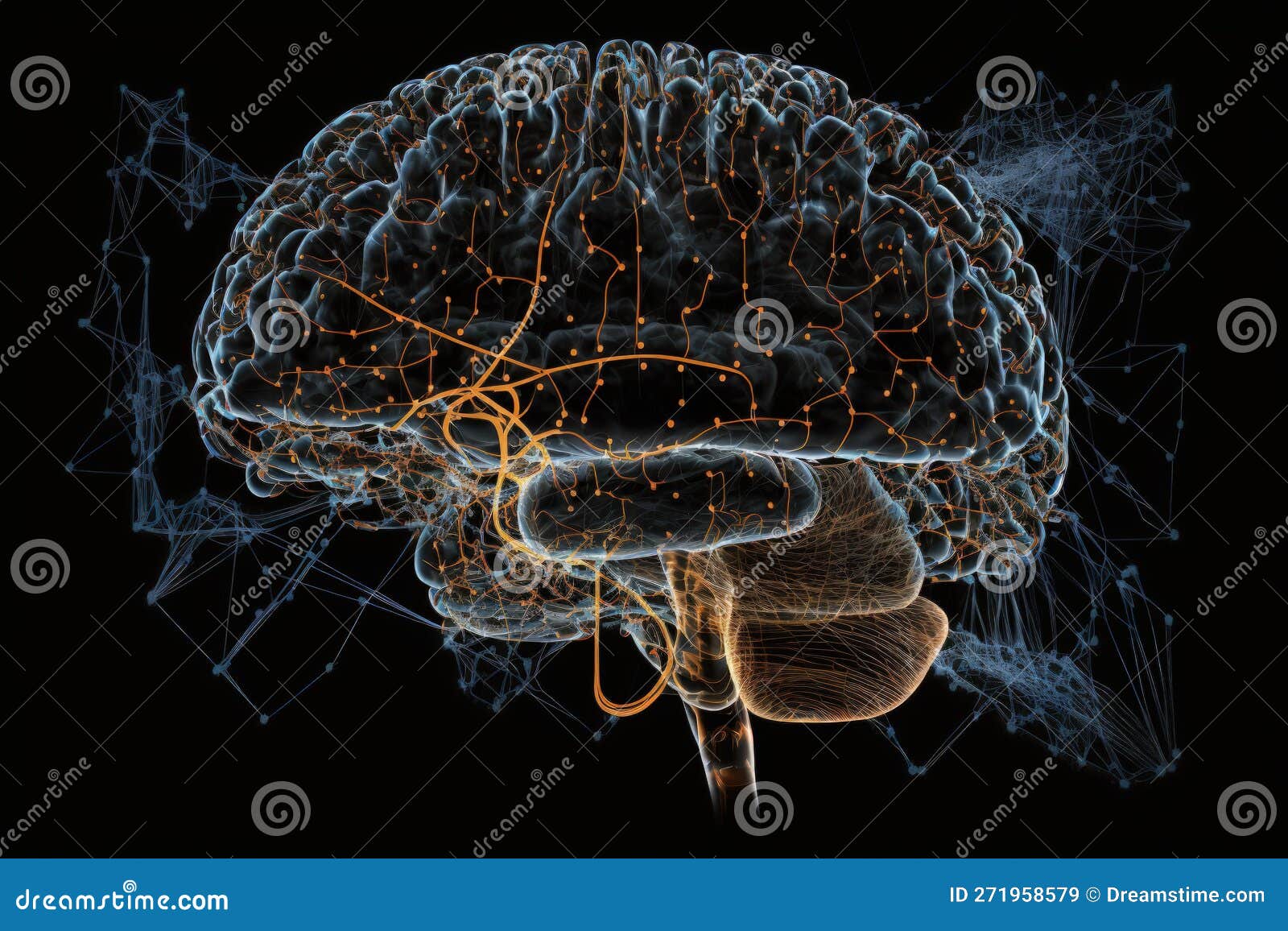 The Brain S Secret Language: Decoding Neuronal Connections Neuronal ... The Brain S Secret Language: Decoding Neuronal Connections Neuronal ...