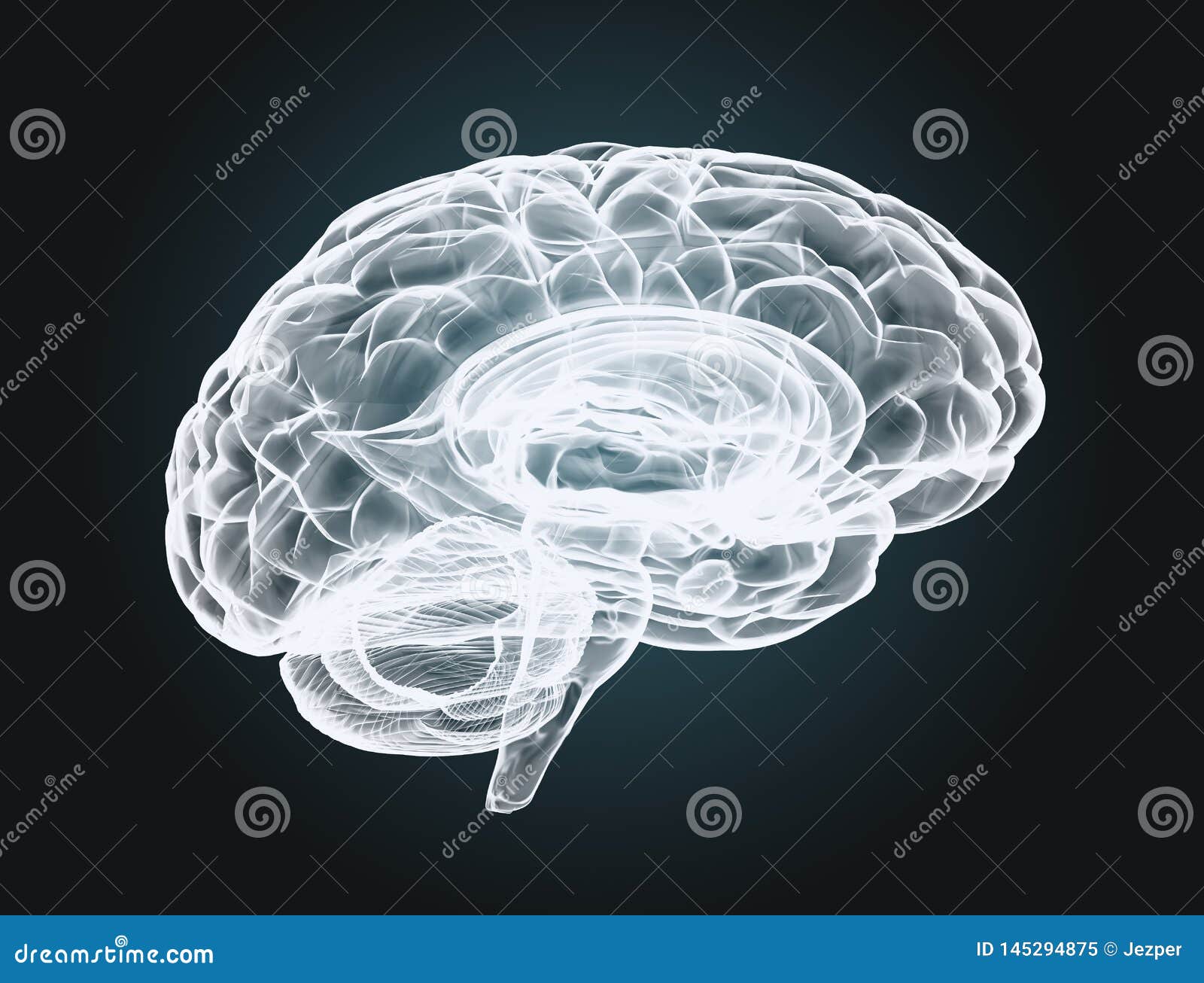 Brain Scan X-ray Image of the Human Brain Stock Illustration ...