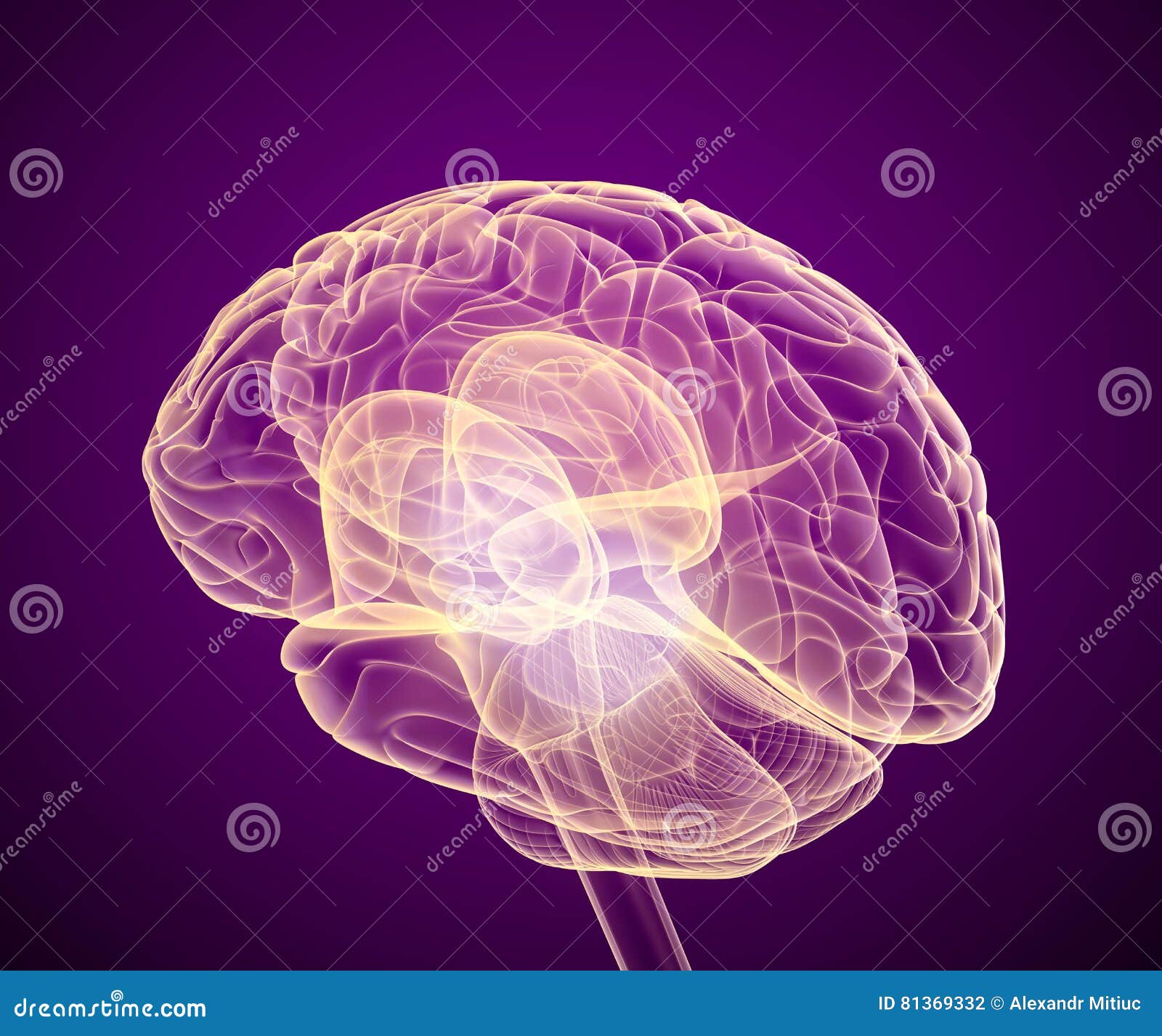 Brain scan, X-ray view stock illustration. Illustration of concept ...