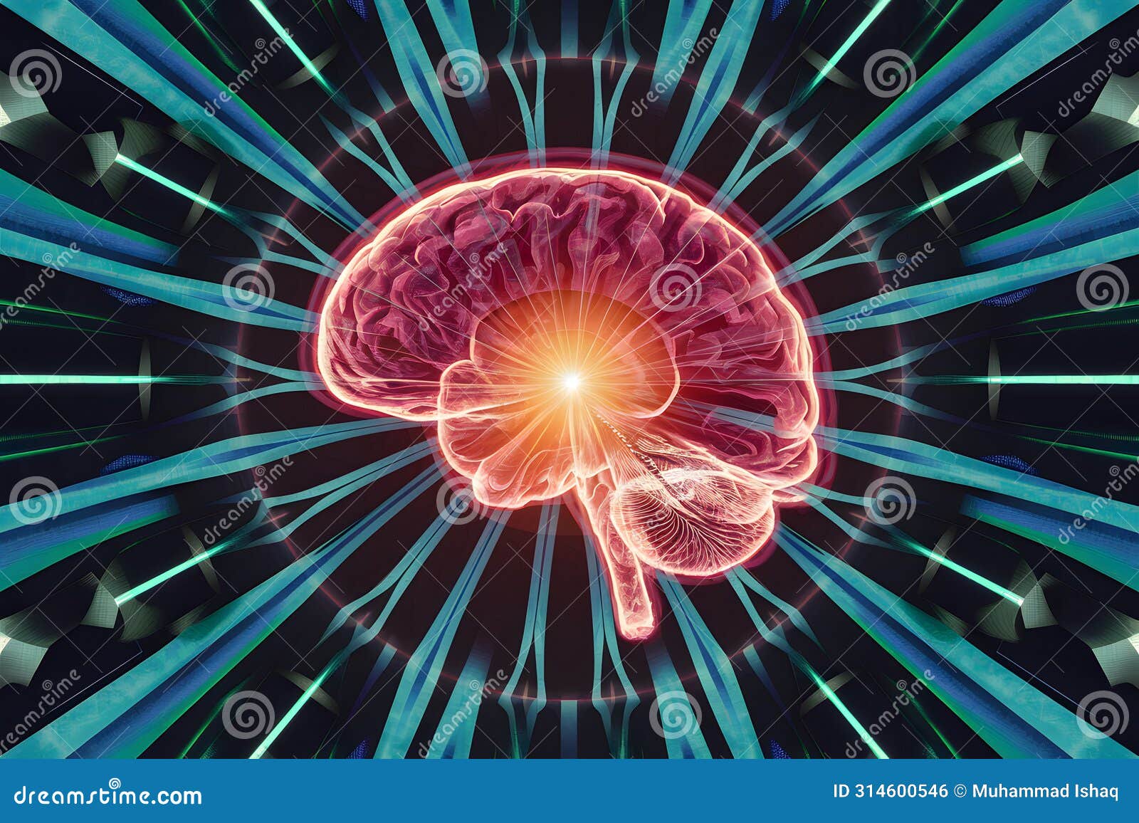 Brain Scans In Transcendence, Psychedelic Shapes Emanate From Mind ...